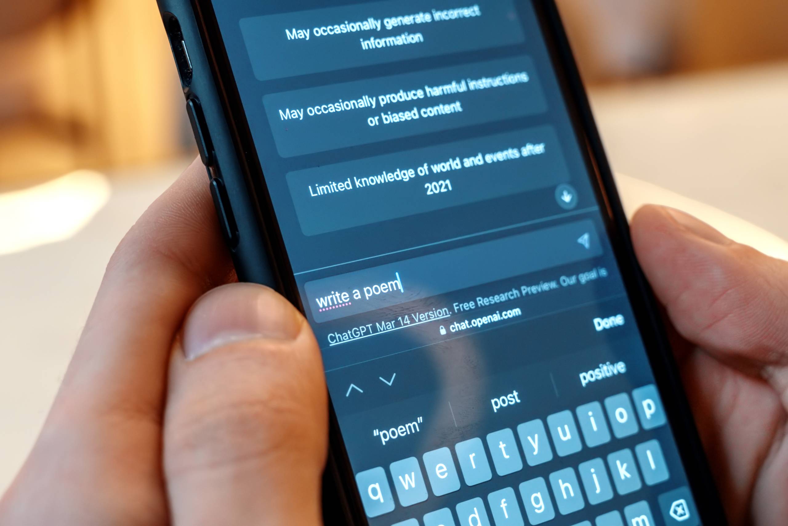 Leveraging Open AI Chat GPT for Small to Medium Scale Businesses